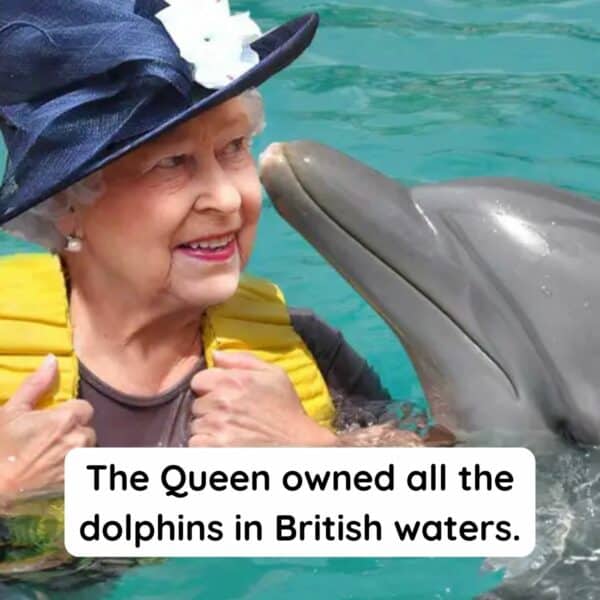 Wild Facts About the Royal Family Every Anglophile Should Know – Page 32