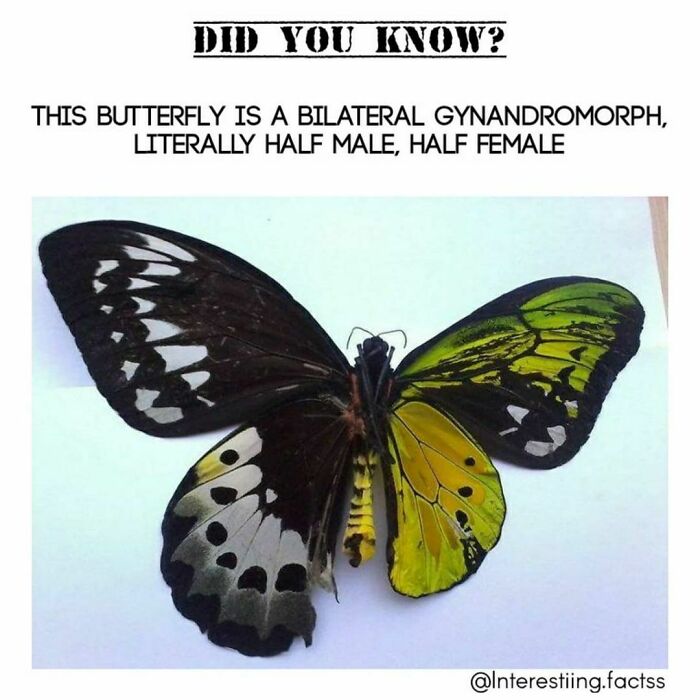 These World Facts Prove That There is So Much We Don’t Know – Page 15