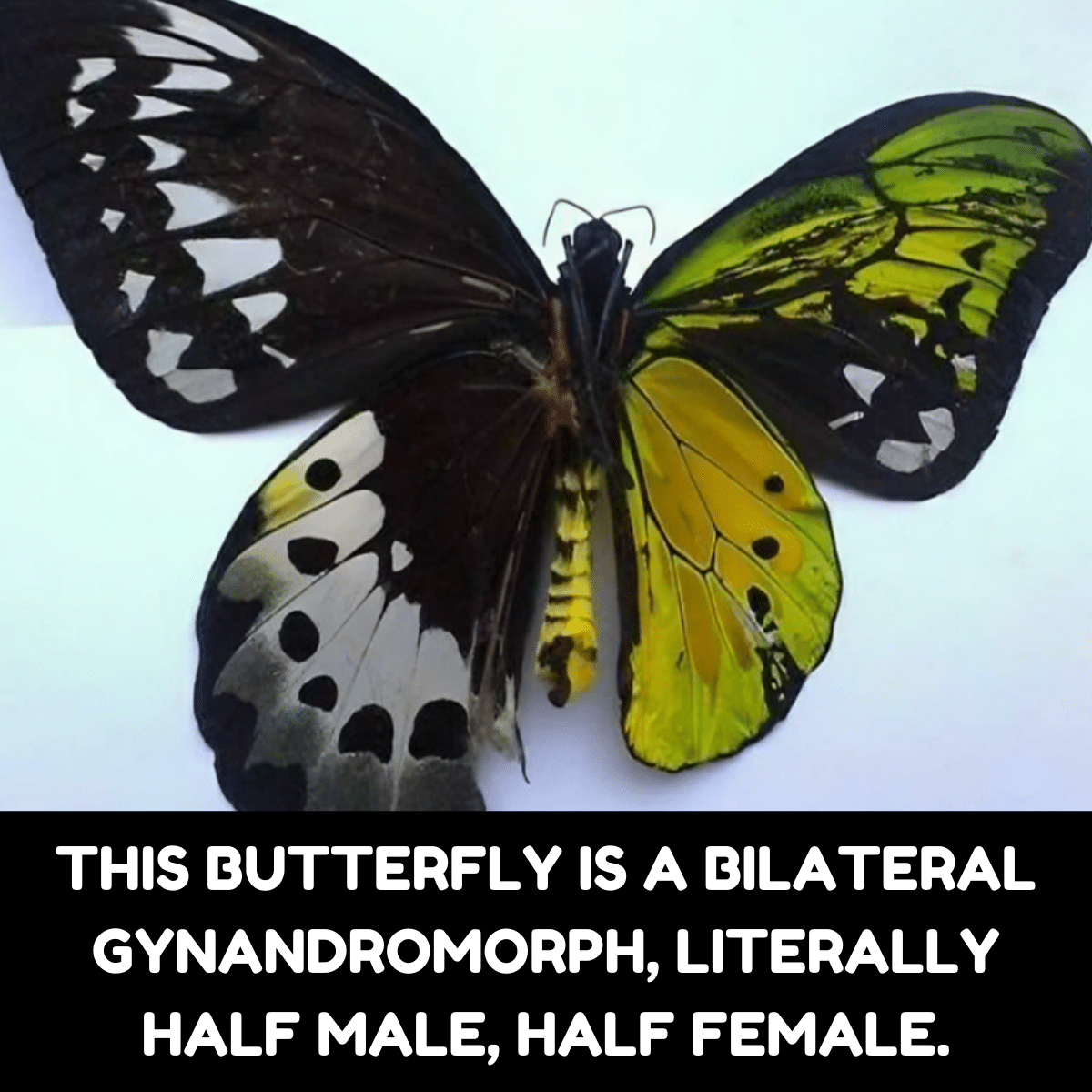These World Facts Prove That There is So Much We Don’t Know – Page 9